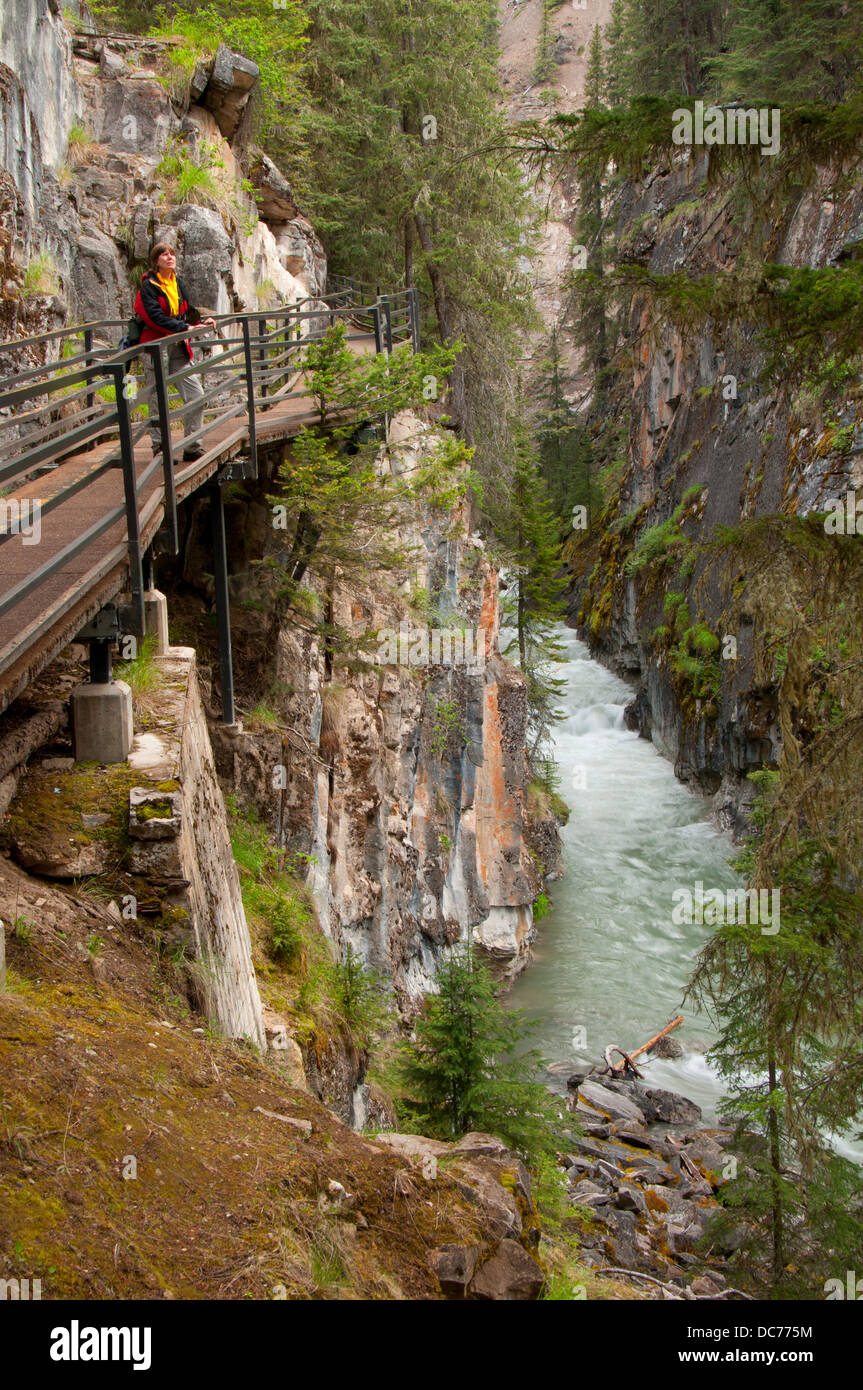 Catwalk above Johnston Creek along Johnston Canyon Trail, Banff ...