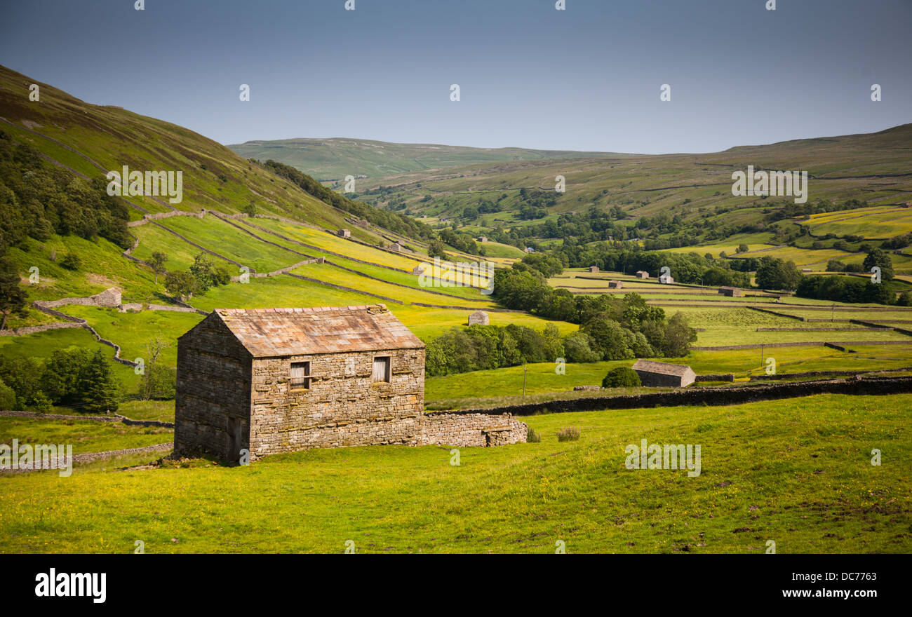 Yorkshire Dales field barns, or stone barns, in the summer Stock Photo ...