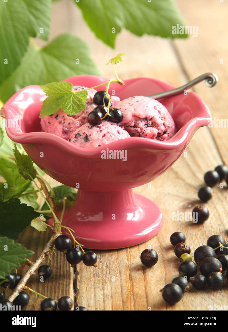 Currant ice cream hi-res stock photography and images - Alamy