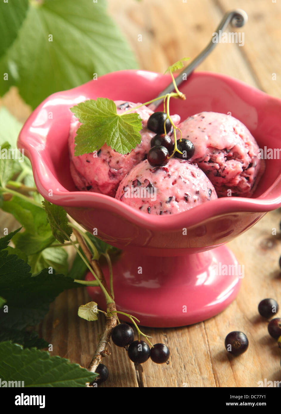 Currant ice cream hi-res stock photography and images - Alamy