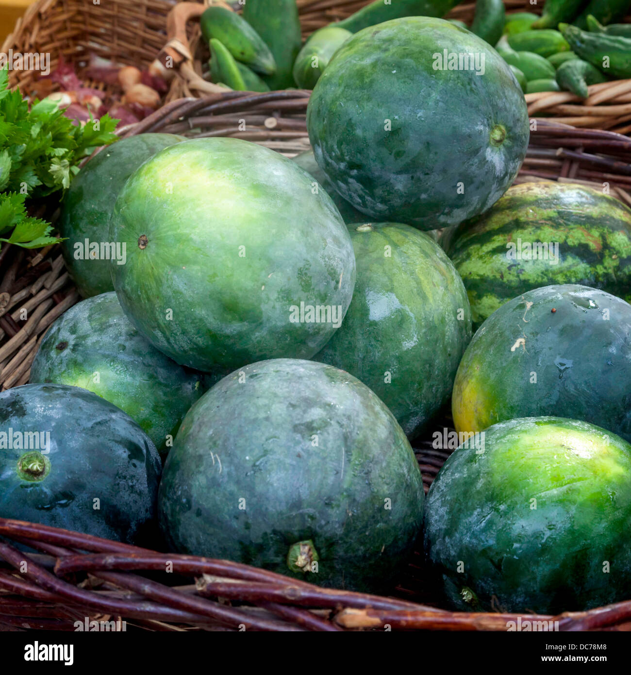 Watermelons florida hi-res stock photography and images - Alamy