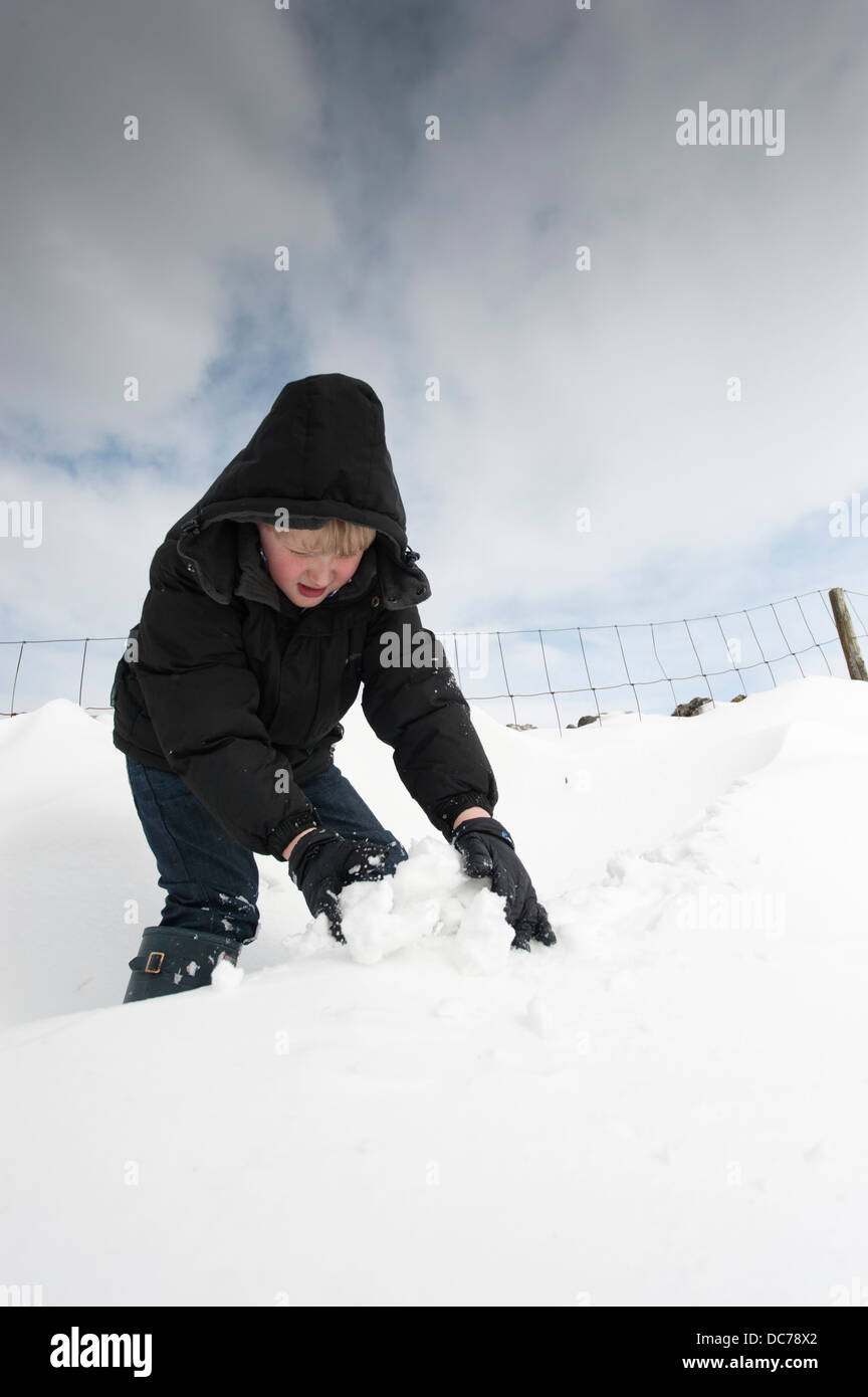 Boy making a big snowball and having fun in the snow. Cumbria, UK Stock ...