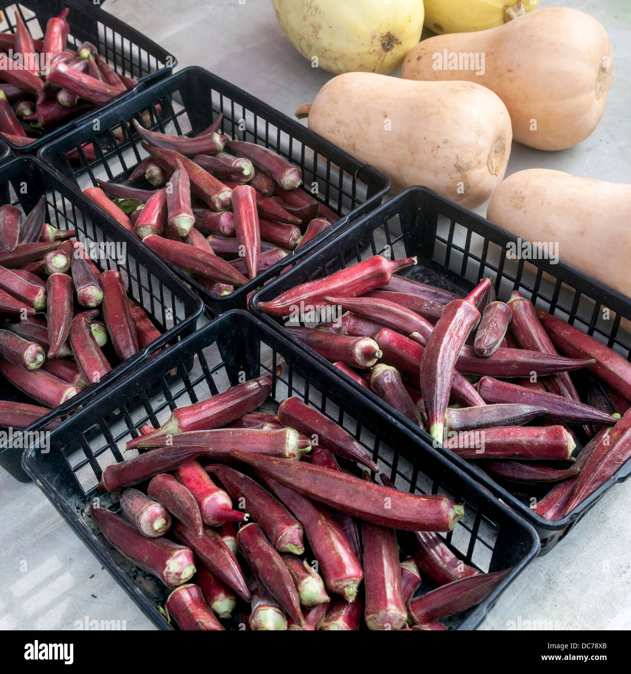 Red okra called Hill Country Red in black plastic baskets Stock Photo ...