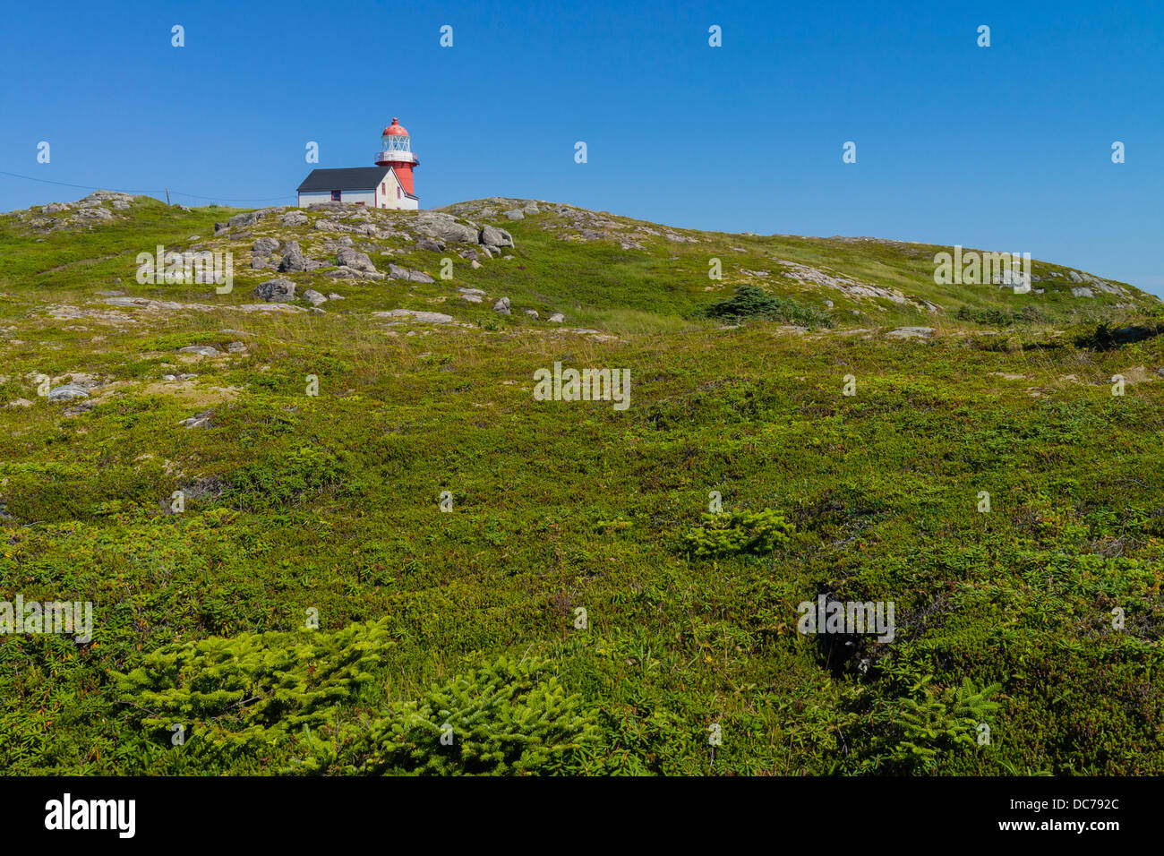 Newfoundlands lighthouses hi-res stock photography and images - Alamy