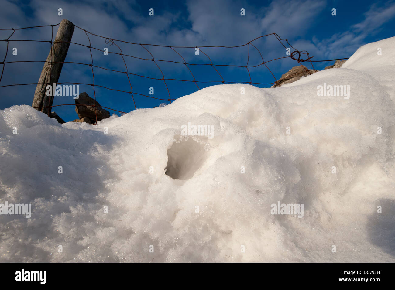 Snowstorm uk hi-res stock photography and images - Alamy