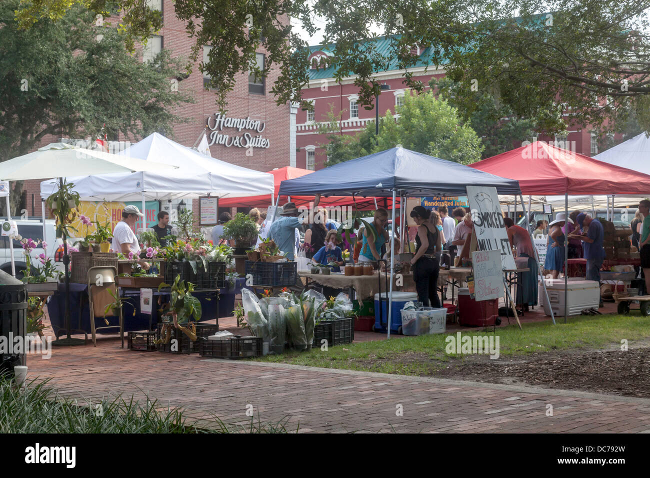Small town farmer's market selling vegetables, plants and hand-made ...