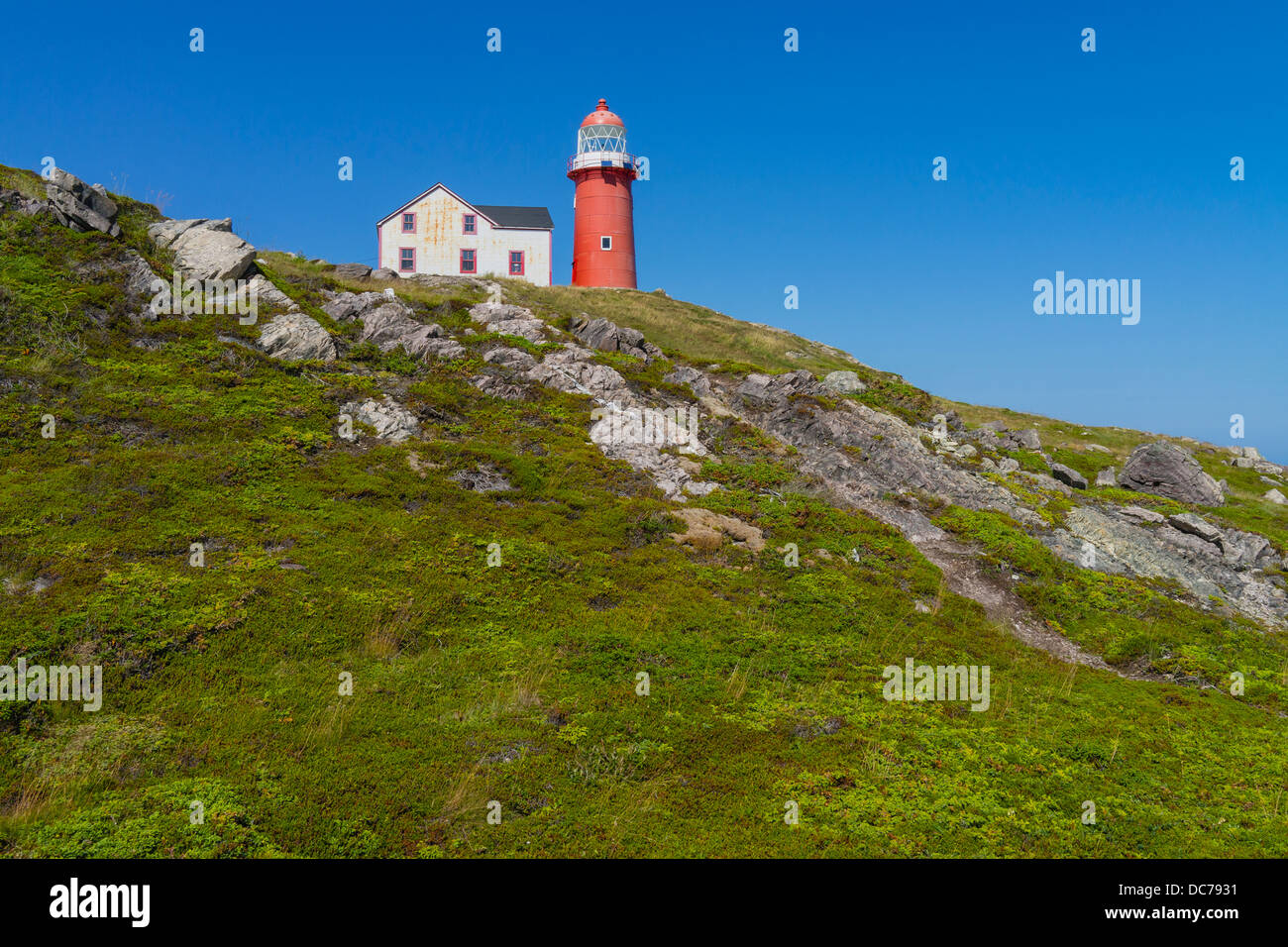 Newfoundlands lighthouses hi-res stock photography and images - Alamy