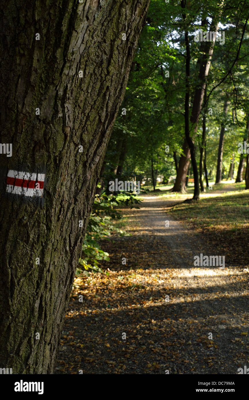 The blazing trail hi-res stock photography and images - Alamy