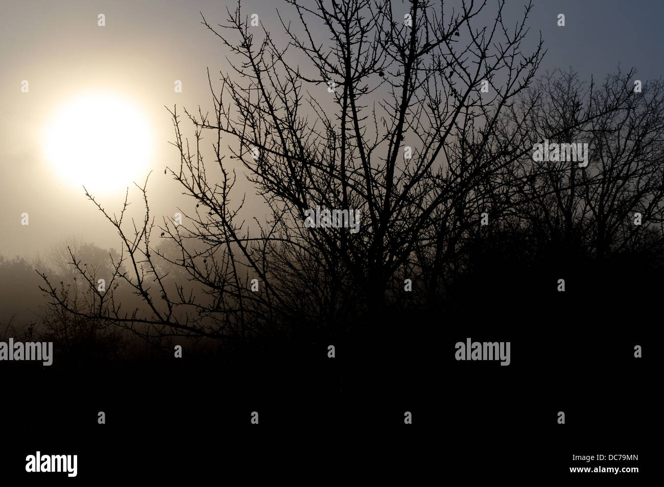 Foggy sun hi-res stock photography and images - Alamy