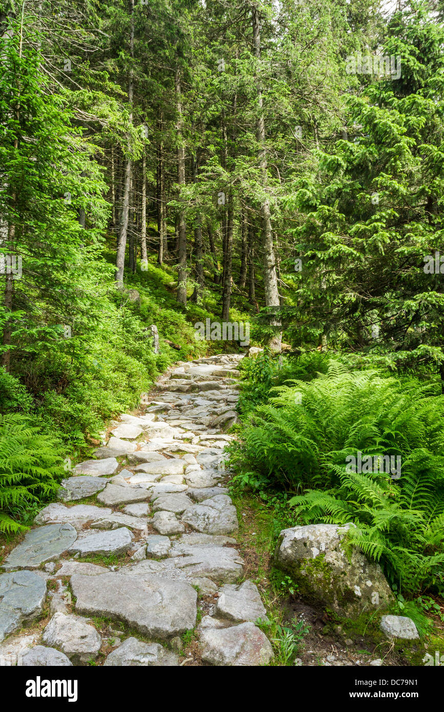 Stone path leading to the peak in summer Stock Photo - Alamy