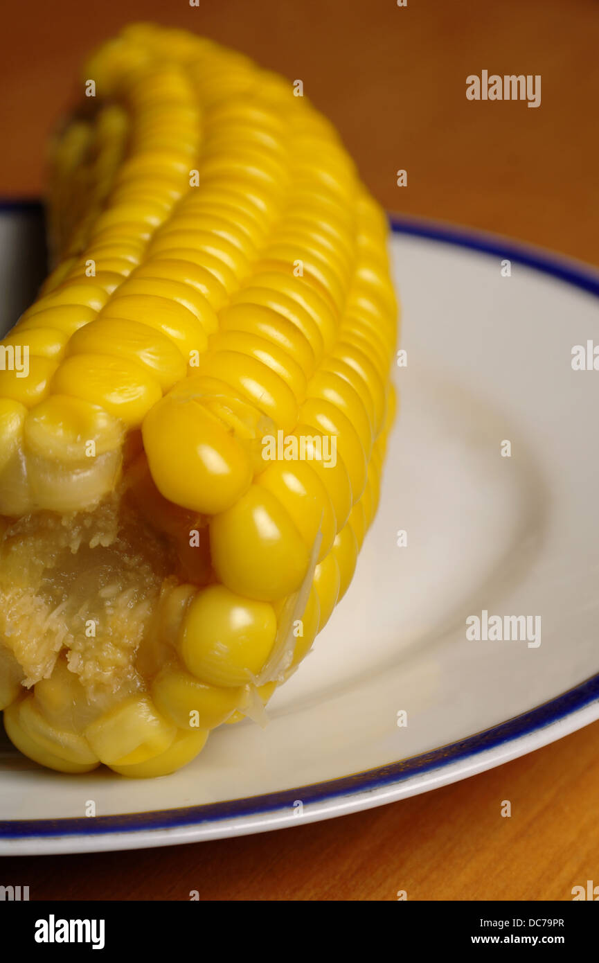 boiled corn on a plate Stock Photo - Alamy