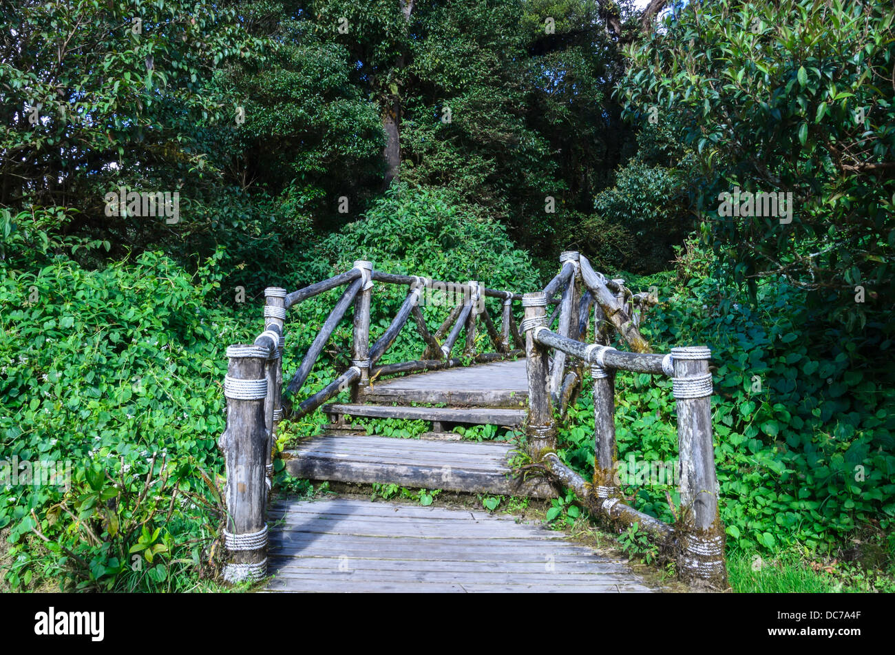 wood bridge for people to walk into the forest Stock Photo - Alamy