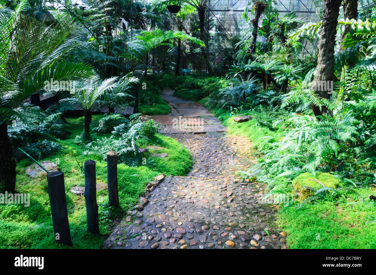 Passage with plant in the Botanic Garden Stock Photo - Alamy