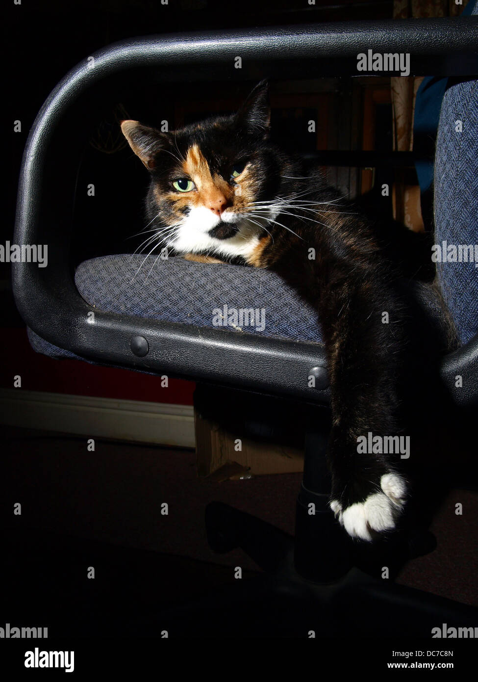 He unimpressed hi-res stock photography and images - Alamy