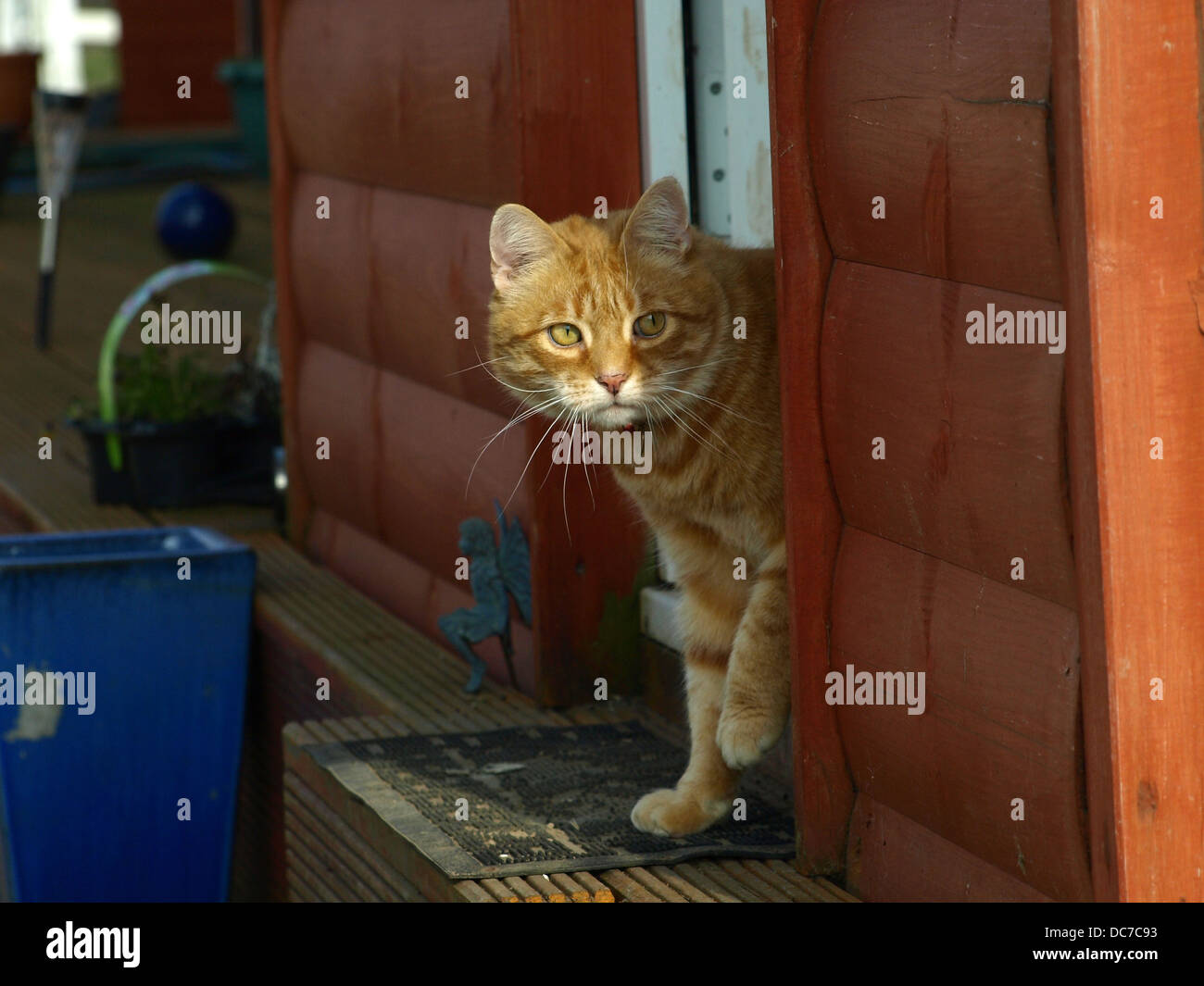 One small step Stock Photo - Alamy