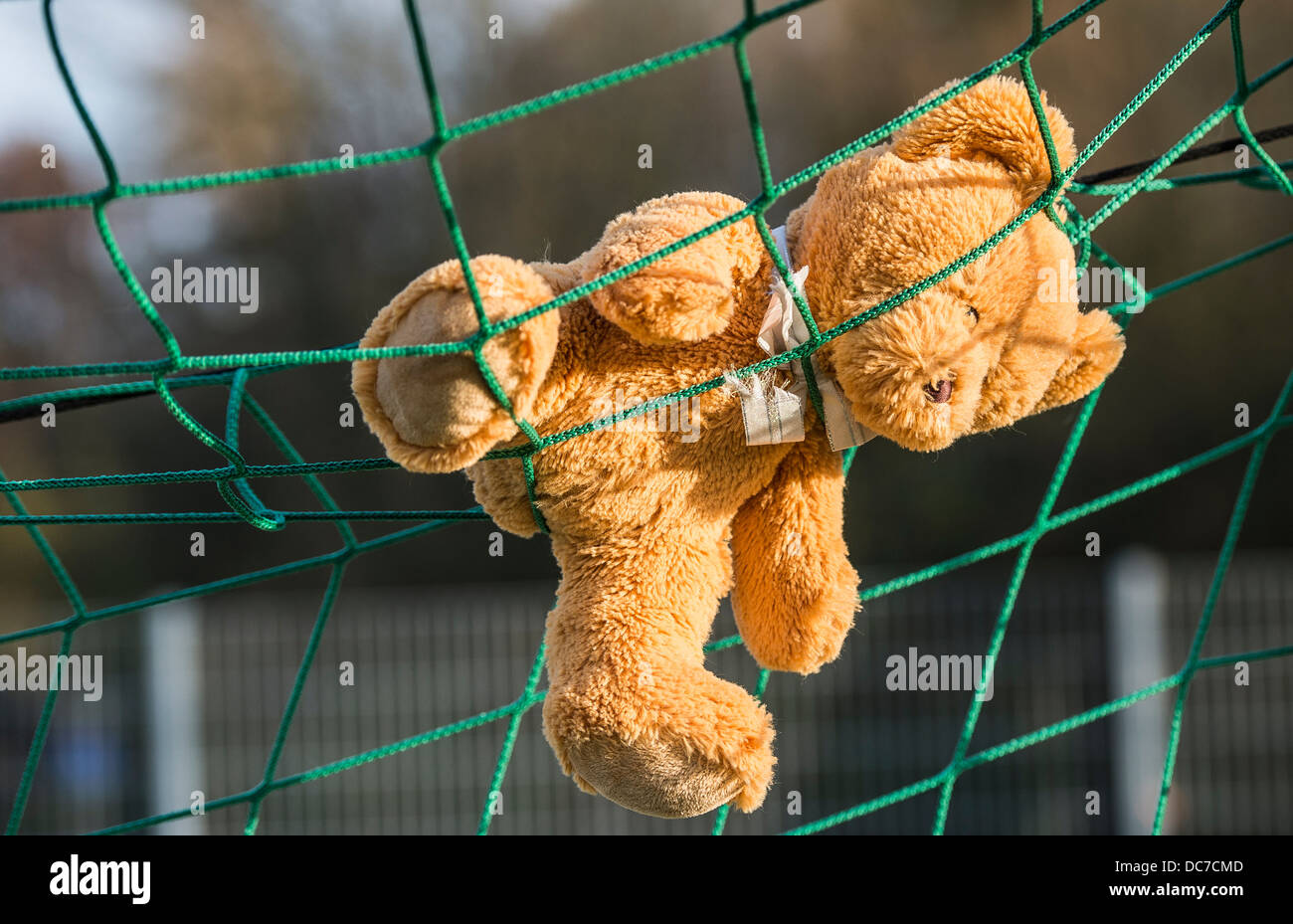 Teddy Bear Caught in Net Stock Photo - Alamy