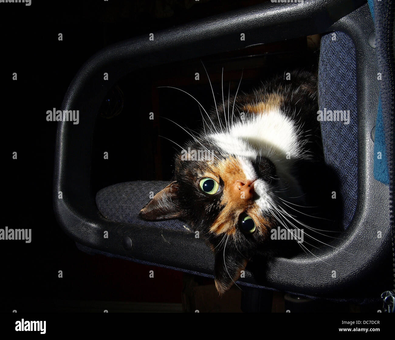 An alternative viewpoint Stock Photo - Alamy