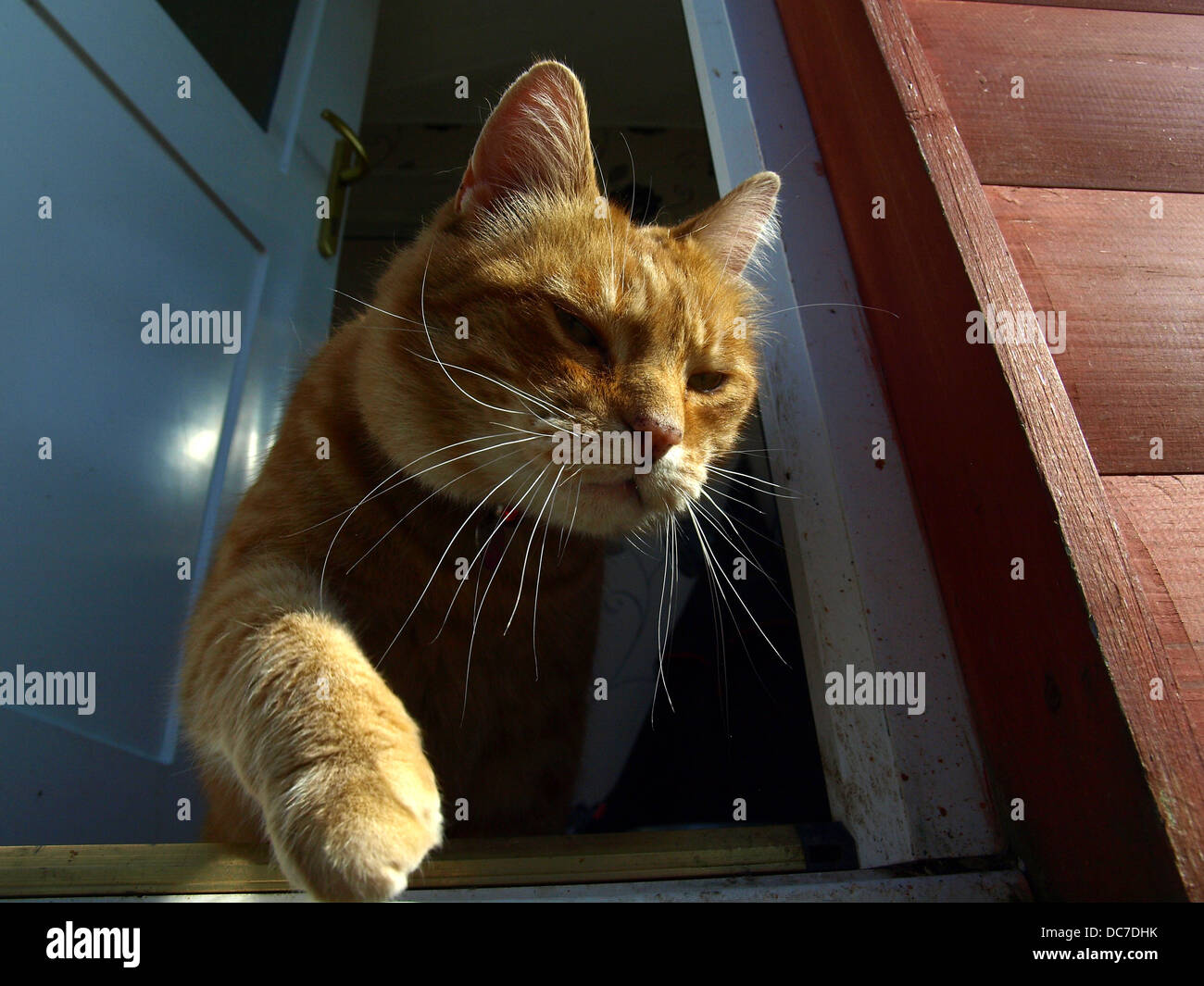 One small step Stock Photo - Alamy