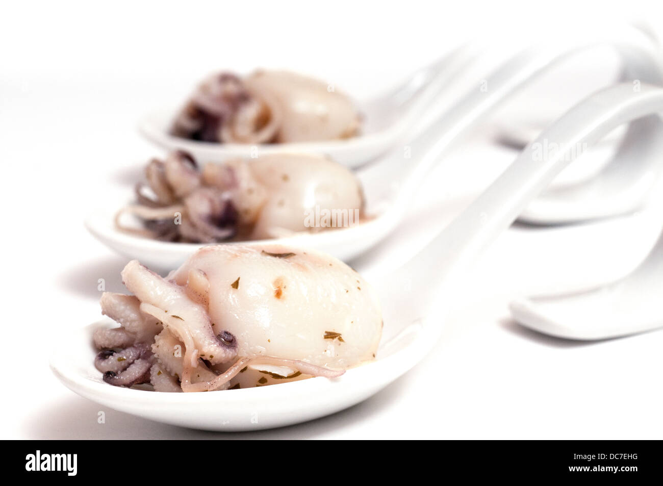 Three squid hi-res stock photography and images - Alamy