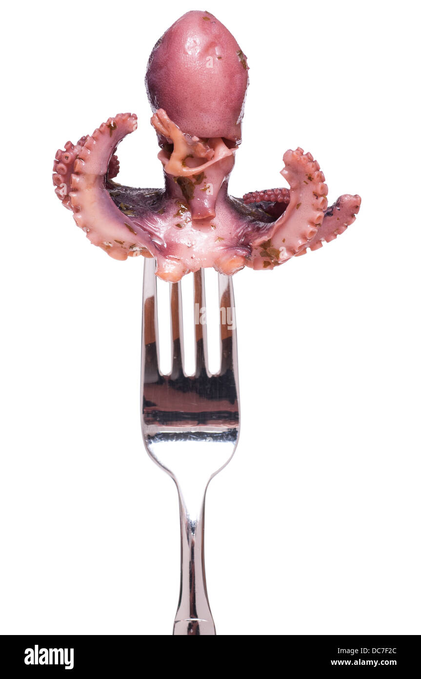 Moscardini hi-res stock photography and images - Alamy