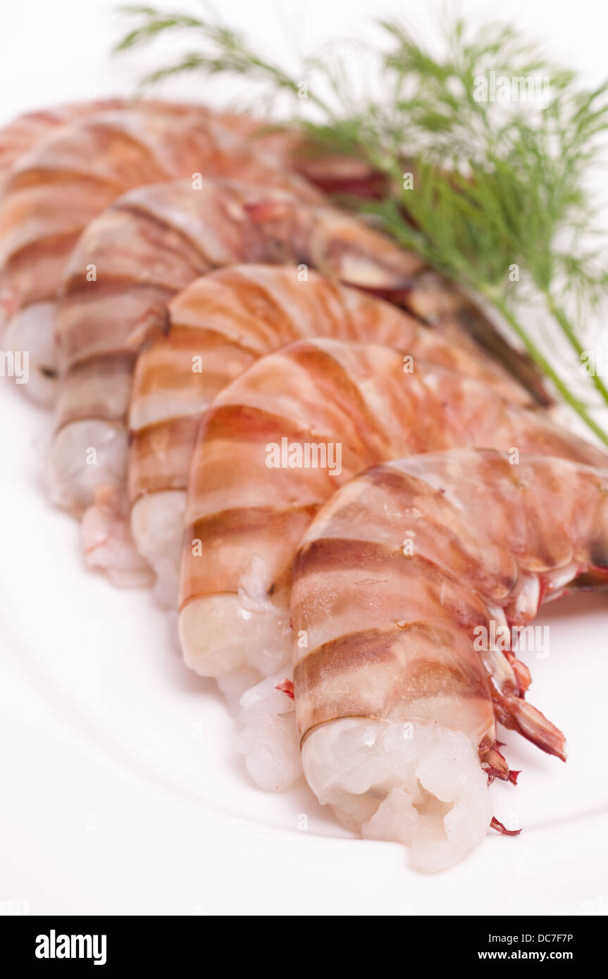 Six deepwater prawns with dill on a white plate Stock Photo - Alamy