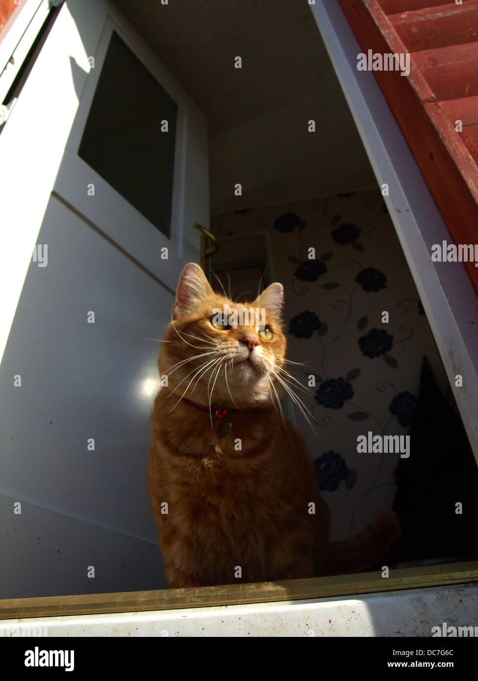 Doorway steps hi-res stock photography and images - Alamy