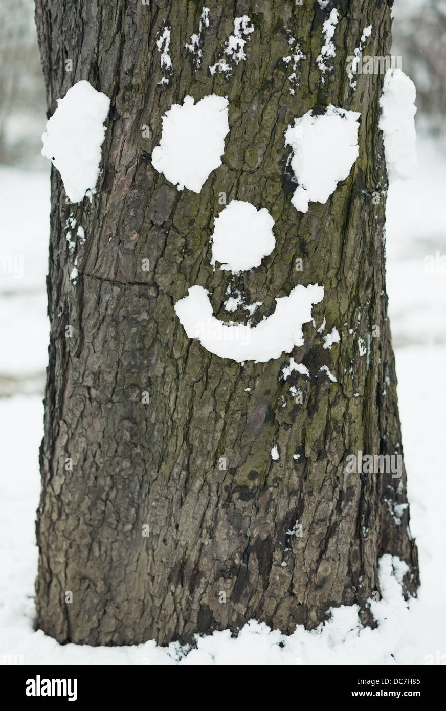 Cool snow face hi-res stock photography and images - Alamy