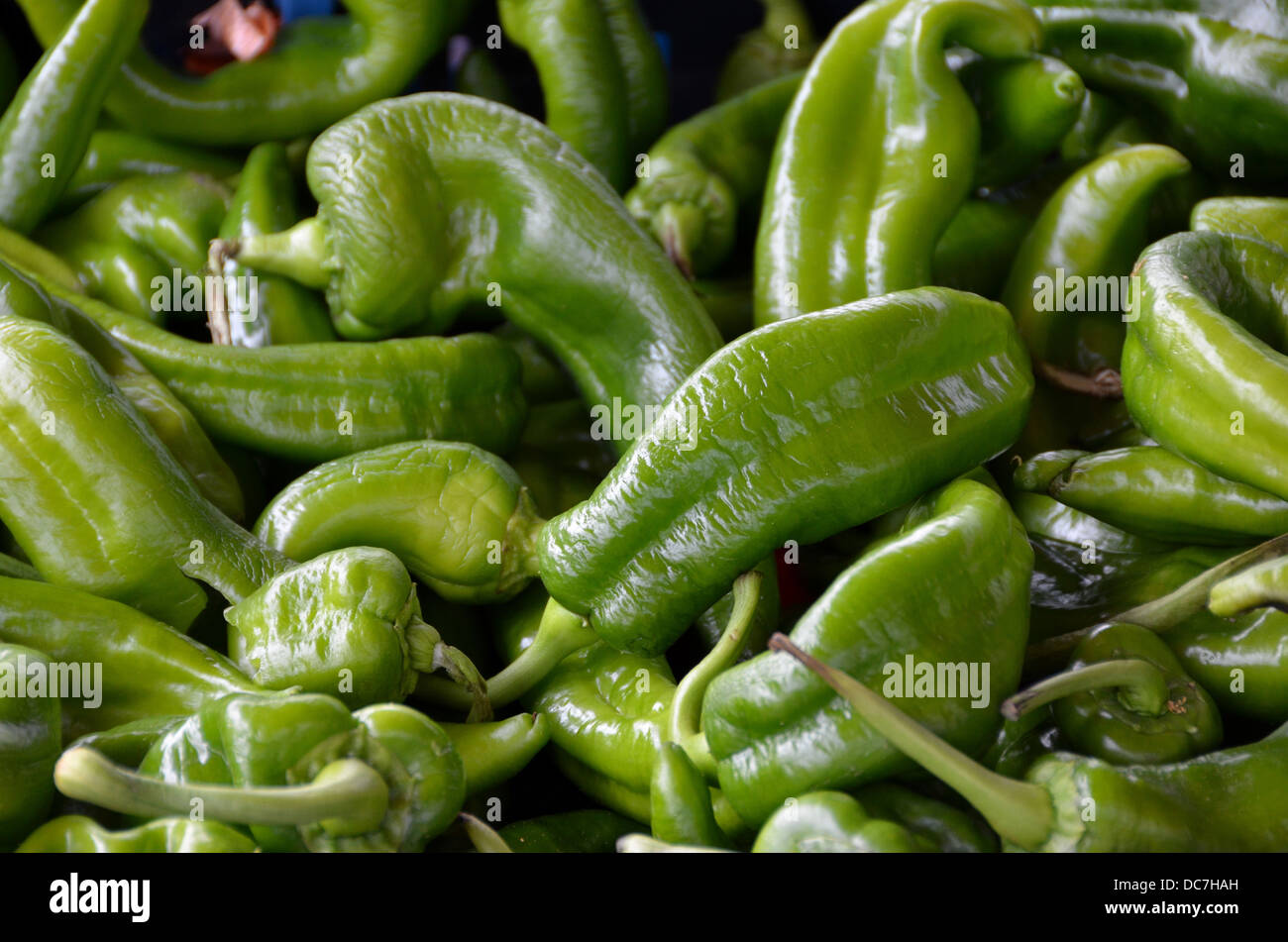 Peppers of the americas hi-res stock photography and images - Alamy