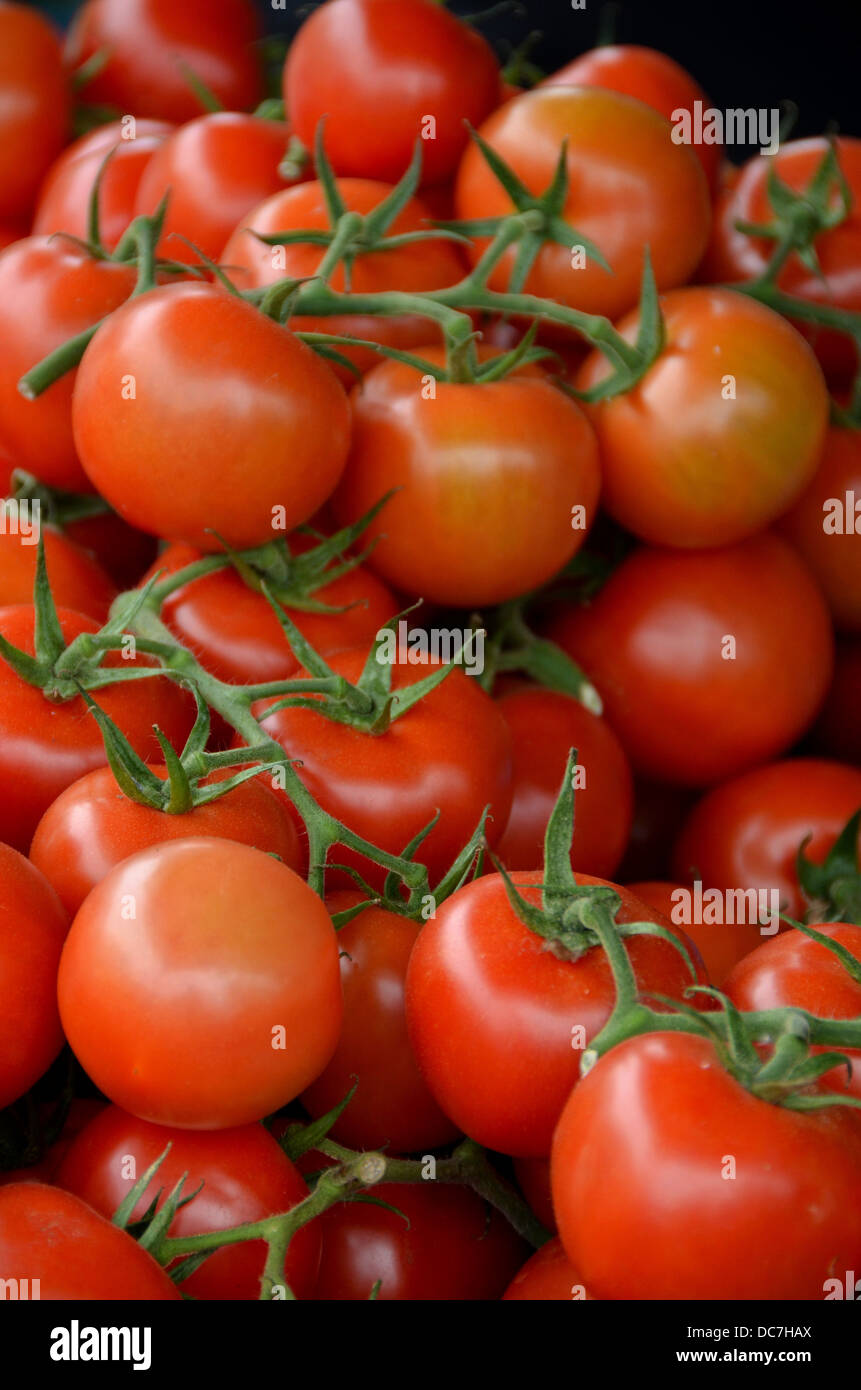 Little tomatoes at the market in Antwerp Stock Photo - Alamy