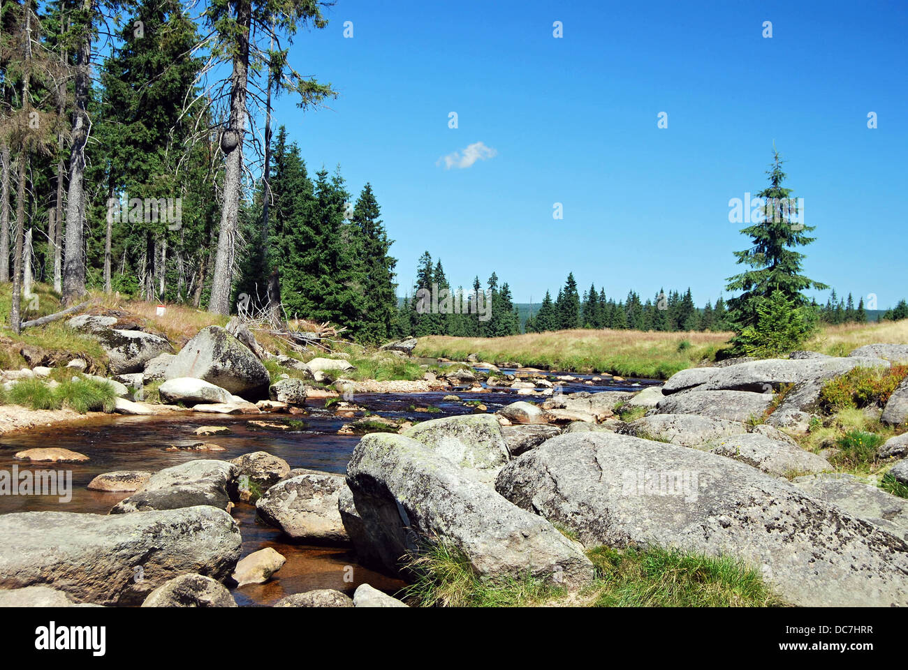 bank of Jizera river on Hala Izerska Stock Photo - Alamy