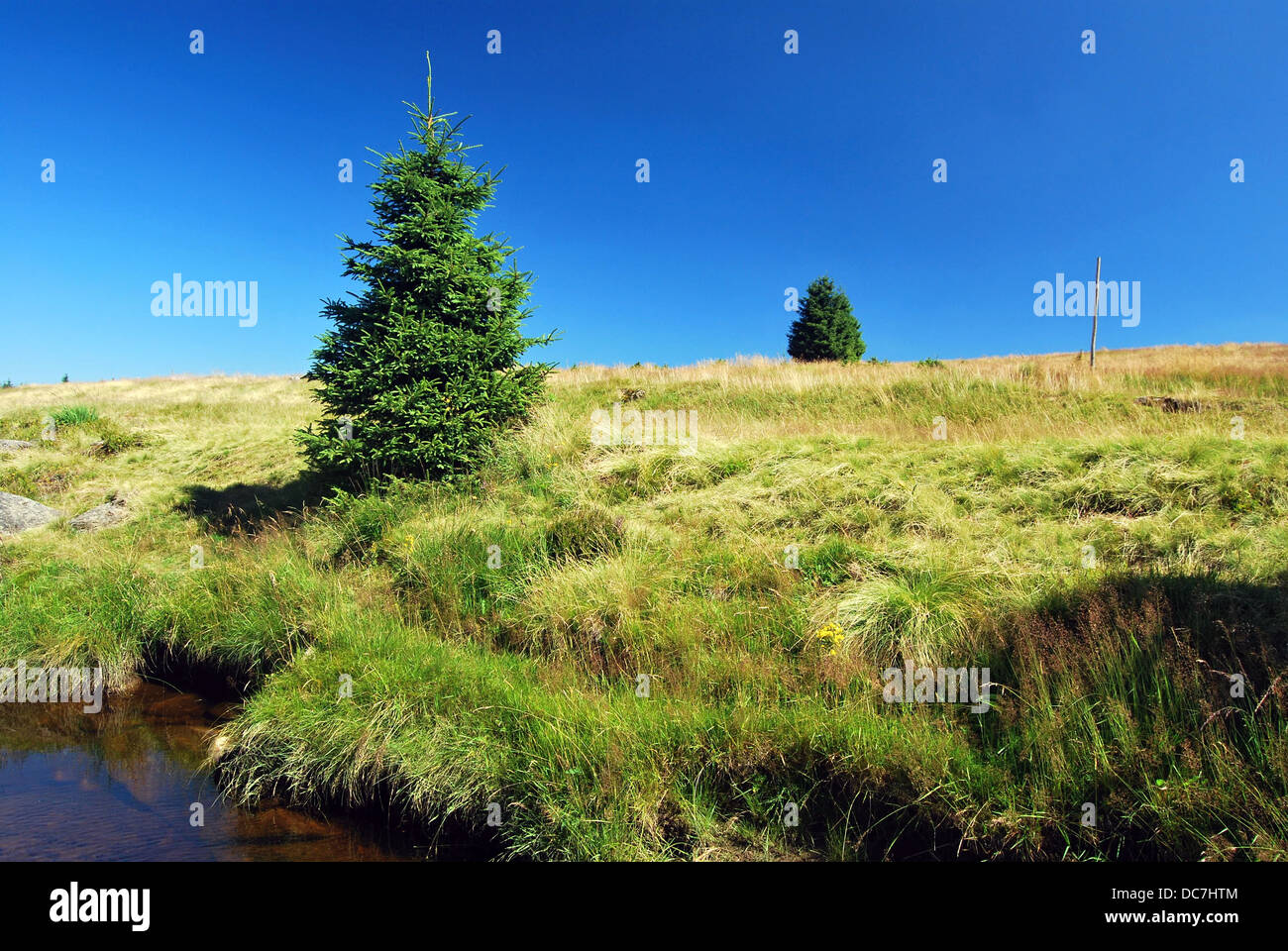 Jizera river hi-res stock photography and images - Alamy