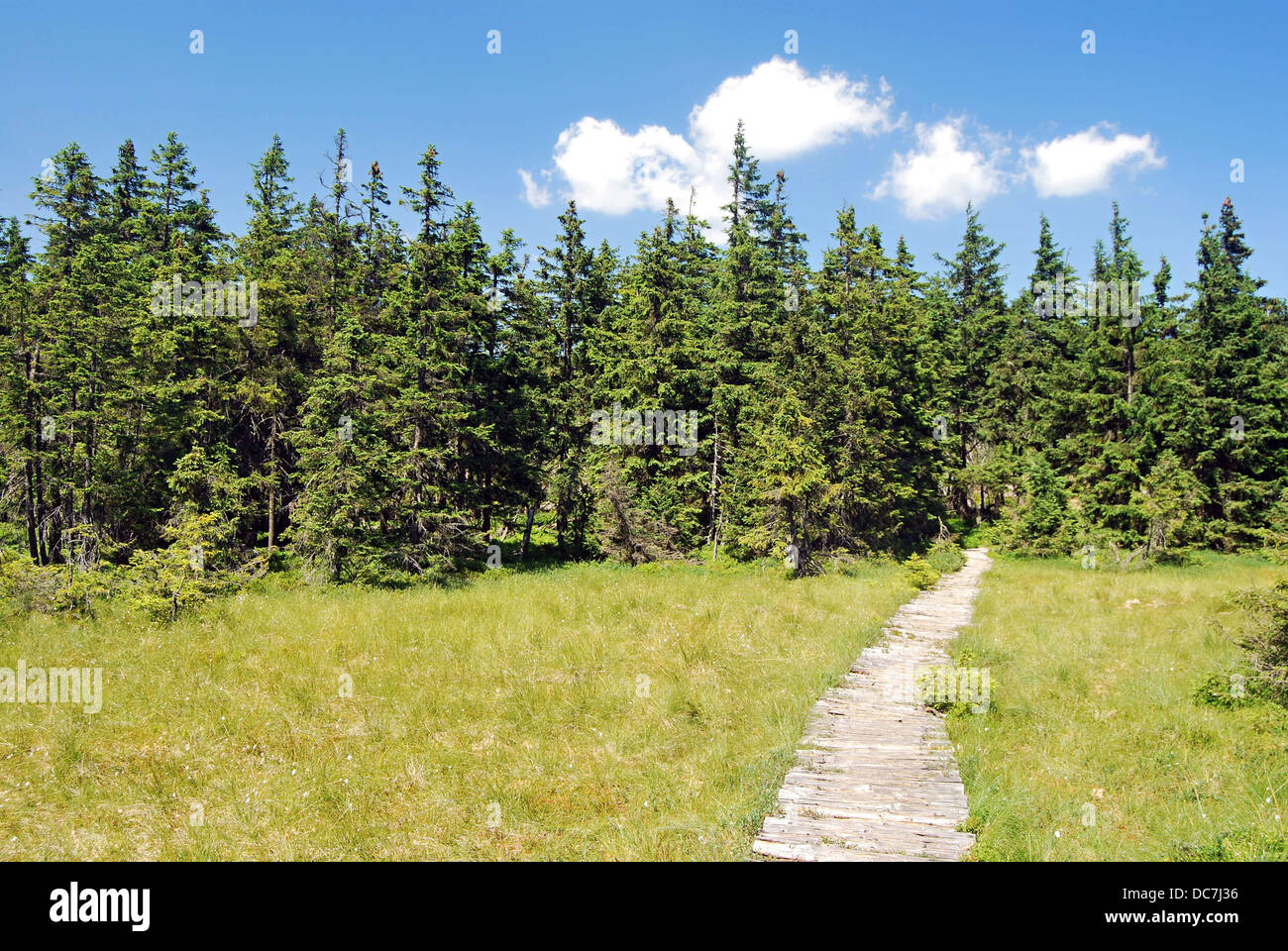 causeway of timber foot-path on the mountains Stock Photo - Alamy