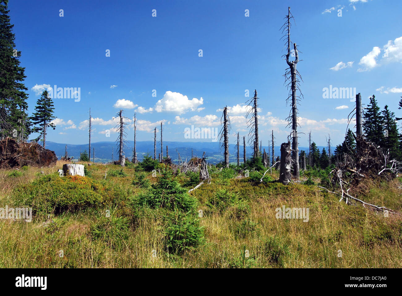 Mountains edge hi-res stock photography and images - Alamy