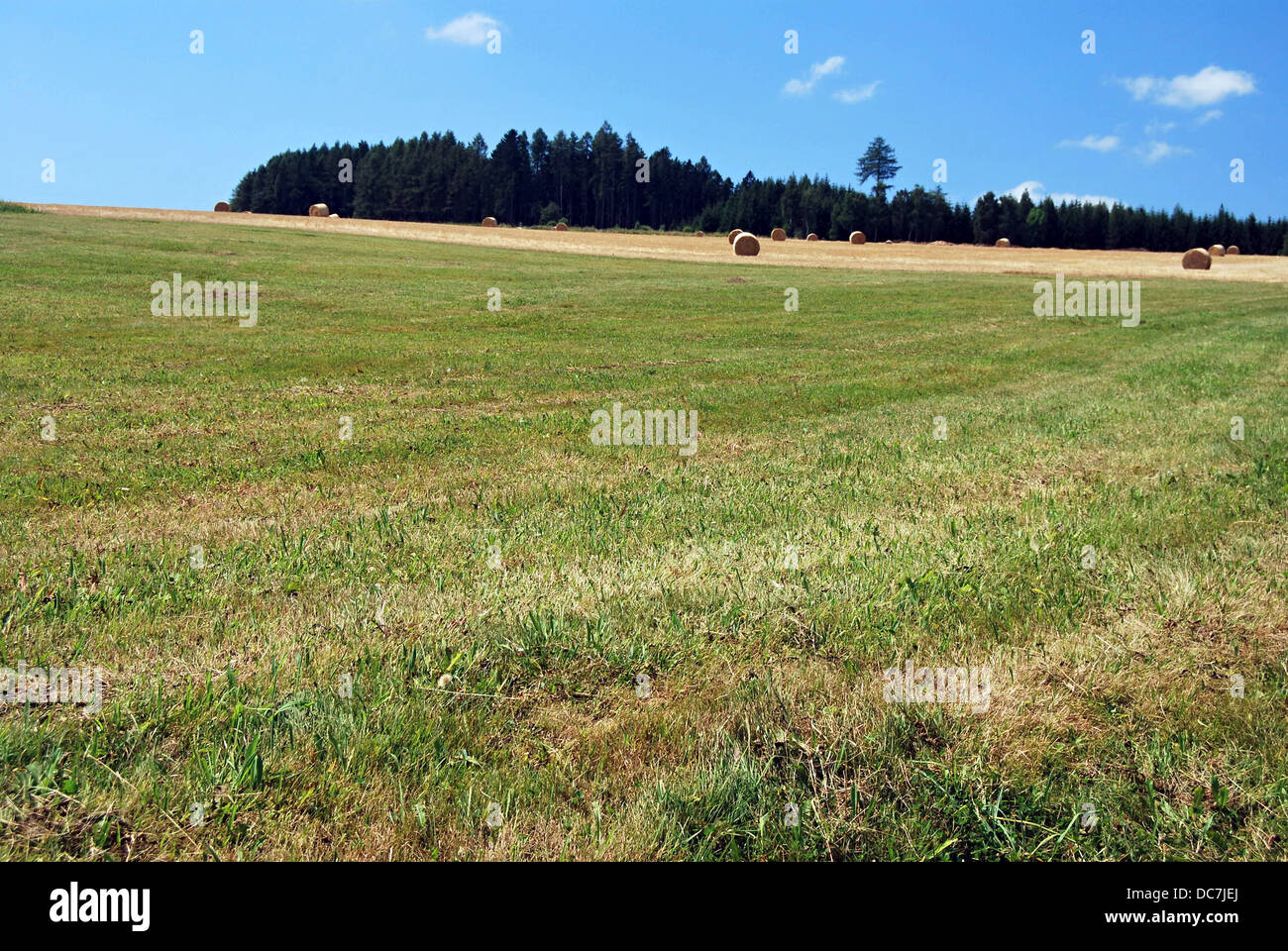 Eastern bohemia hi-res stock photography and images - Alamy