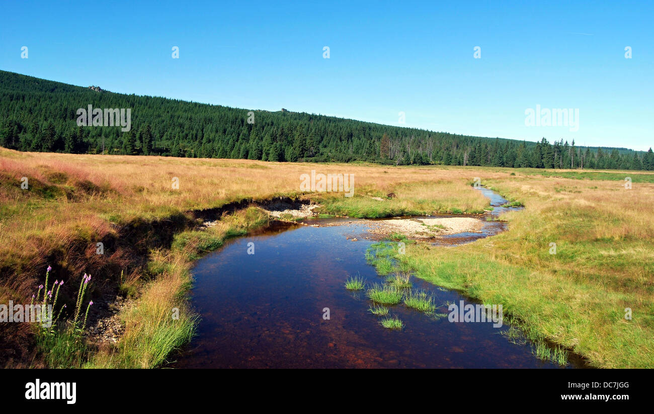 Jizera river hi-res stock photography and images - Alamy