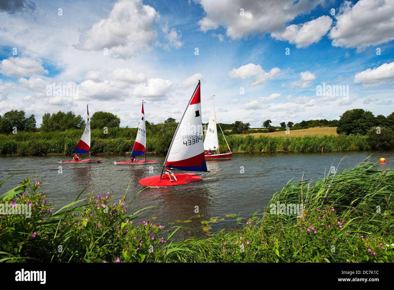 Sailing boats racing at Beccles Suffolk Stock Photo - Alamy