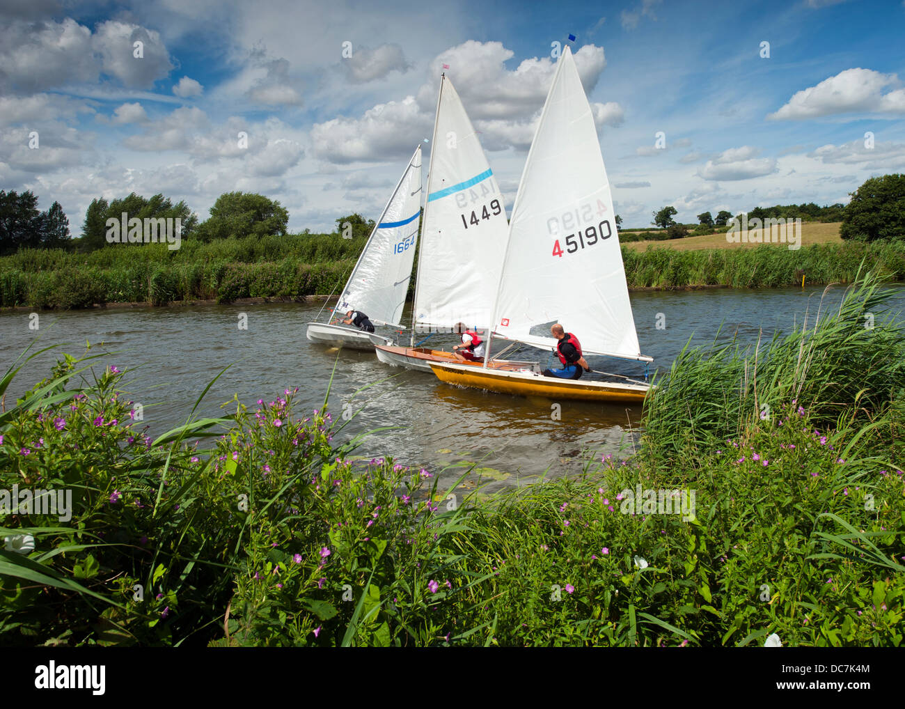 Three Laser sailing boats racing at Beccles sailing club Stock Photo ...