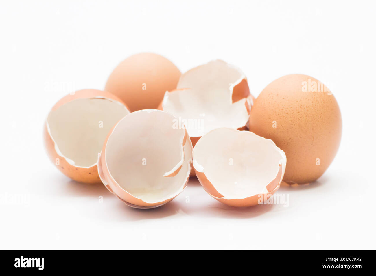 Egg shells with white background Stock Photo - Alamy