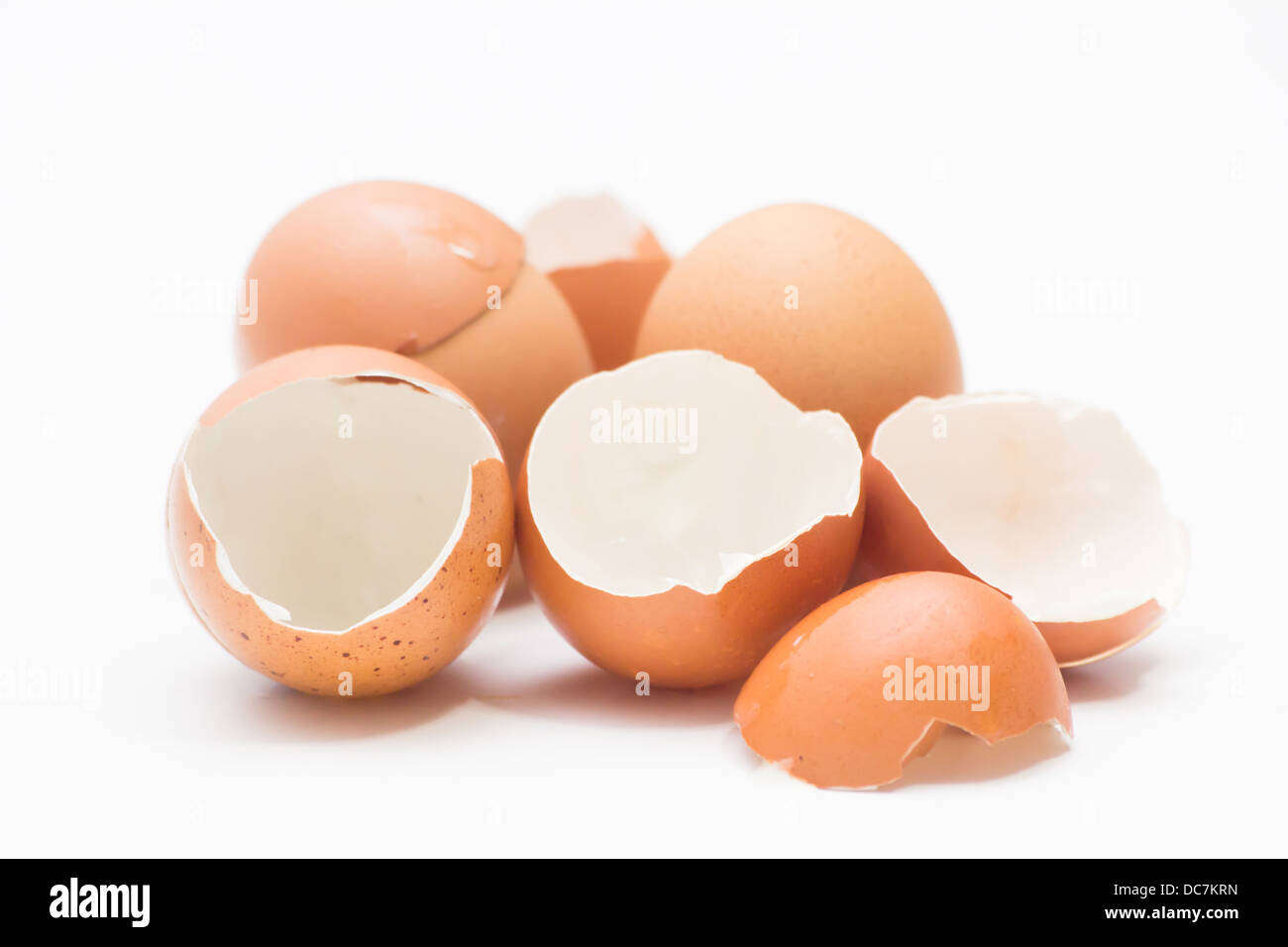 Egg shells with white background Stock Photo - Alamy