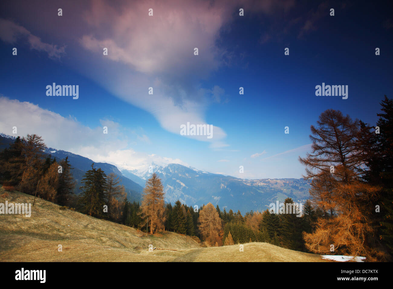 spring alps mountains scene background Stock Photo - Alamy