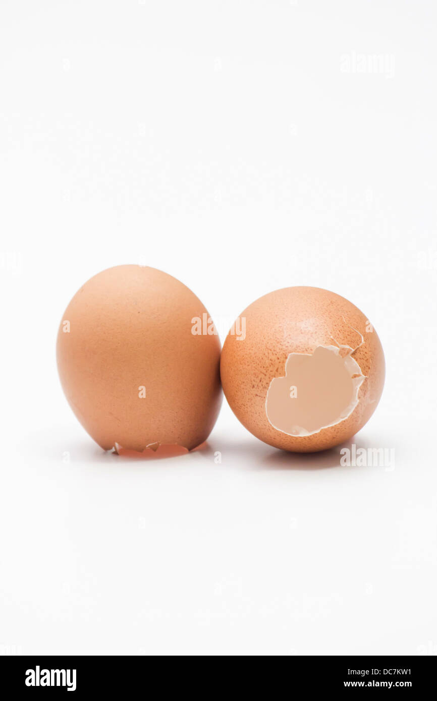 Egg shell isolated on a white background Stock Photo - Alamy