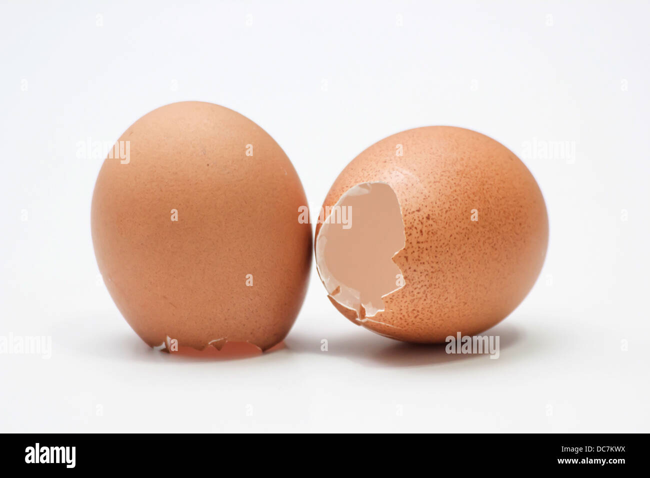 Egg shell isolated on a white background Stock Photo - Alamy