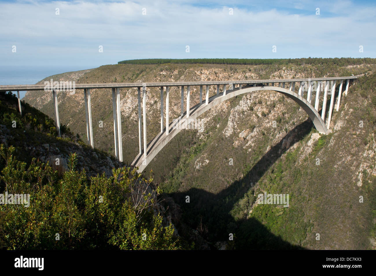 Bloukrans Bridge above the Bloukrans river, Garden Route, South Africa ...