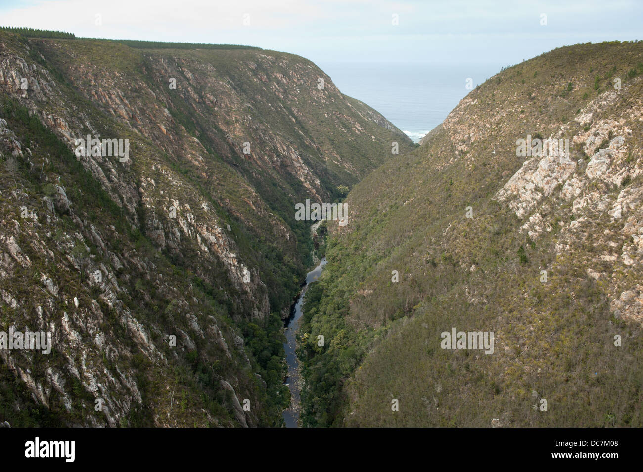 Bloukrans river, Garden Route, South Africa Stock Photo - Alamy