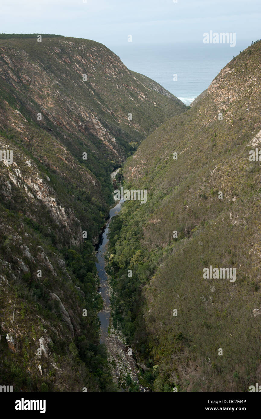 Bloukrans river, Garden Route, South Africa Stock Photo - Alamy