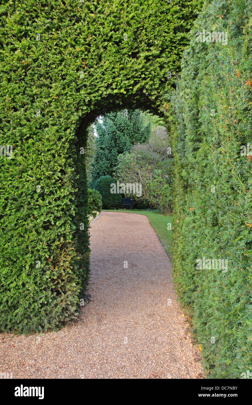 Gravel Path leading through an evergreen archway in an English Garden ...