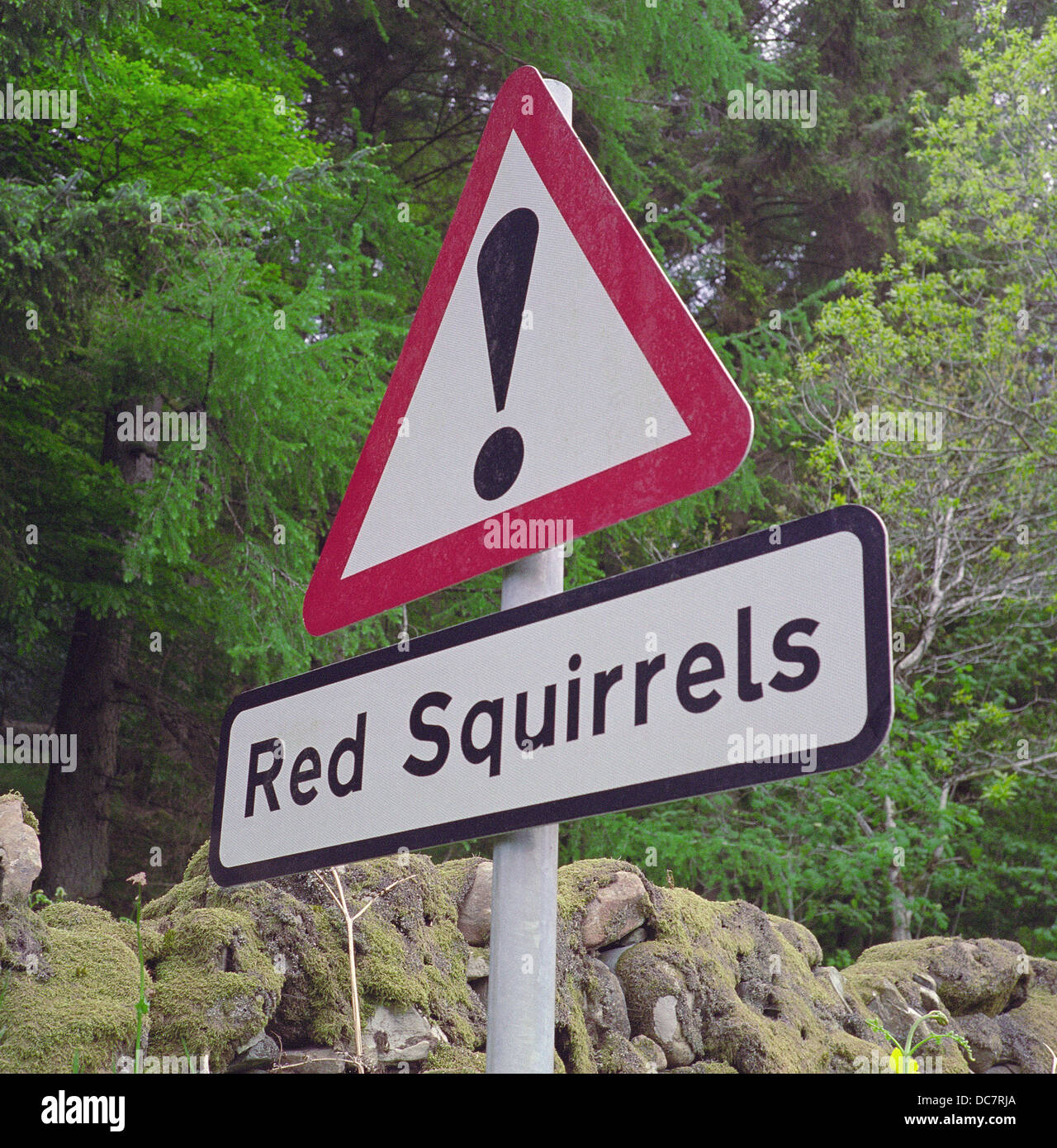 Squirrel Road Sign High Resolution Stock Photography and Images - Alamy