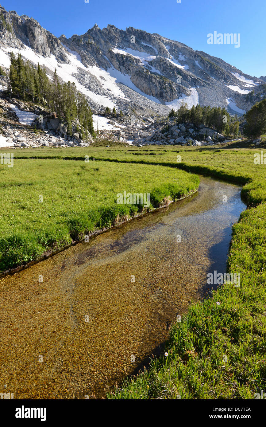 Stream running through a meadow high in the Wallowa Mountains of Oregon ...