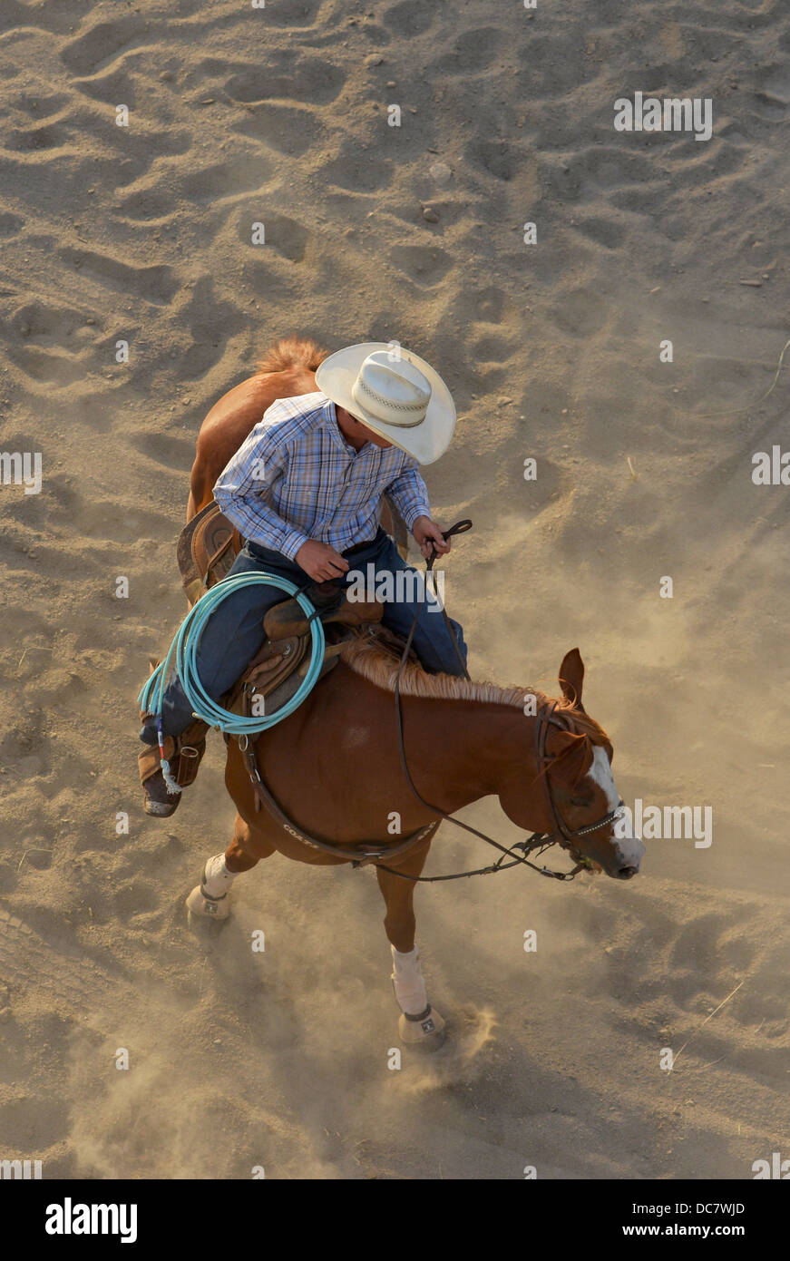 Cowboy practicing roping before the Chief Joseph Days Rodeo in Joseph ...