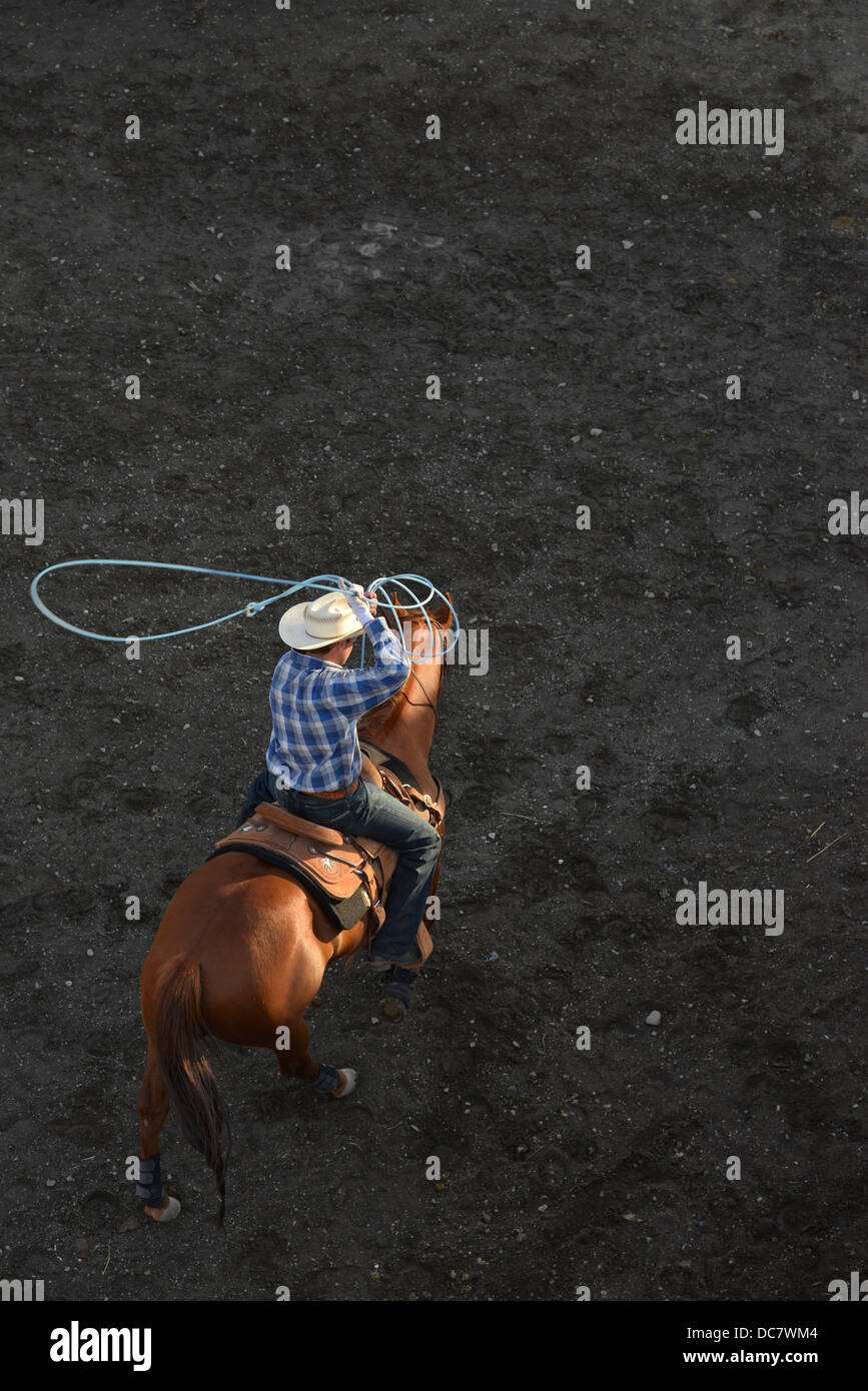 Cowboy Roping Stock Photos & Cowboy Roping Stock Images - Alamy